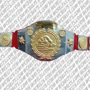Iwgp Heavyweight Championship Belt Designs 2023