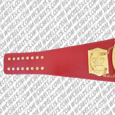 NABF Heavyweight Champion: Thrilling Boxing Legacy | NABF World