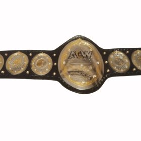 Others - WC BELTS