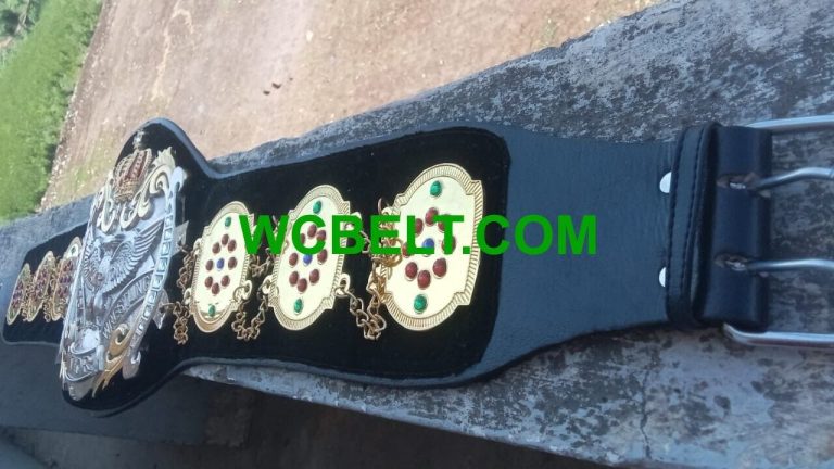 NWA International World Junior Jr Heavyweight Wrestling Champion Belt ...