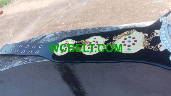 NWA International World Junior Jr Heavyweight Wrestling Champion Belt ...