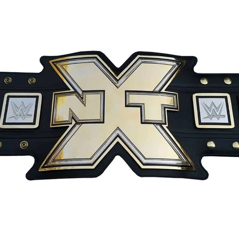 NXT WORLD HEAVYWEIGHT WRESTLING CHAMPION BELT ZINC PLATES REPLICA - WC ...